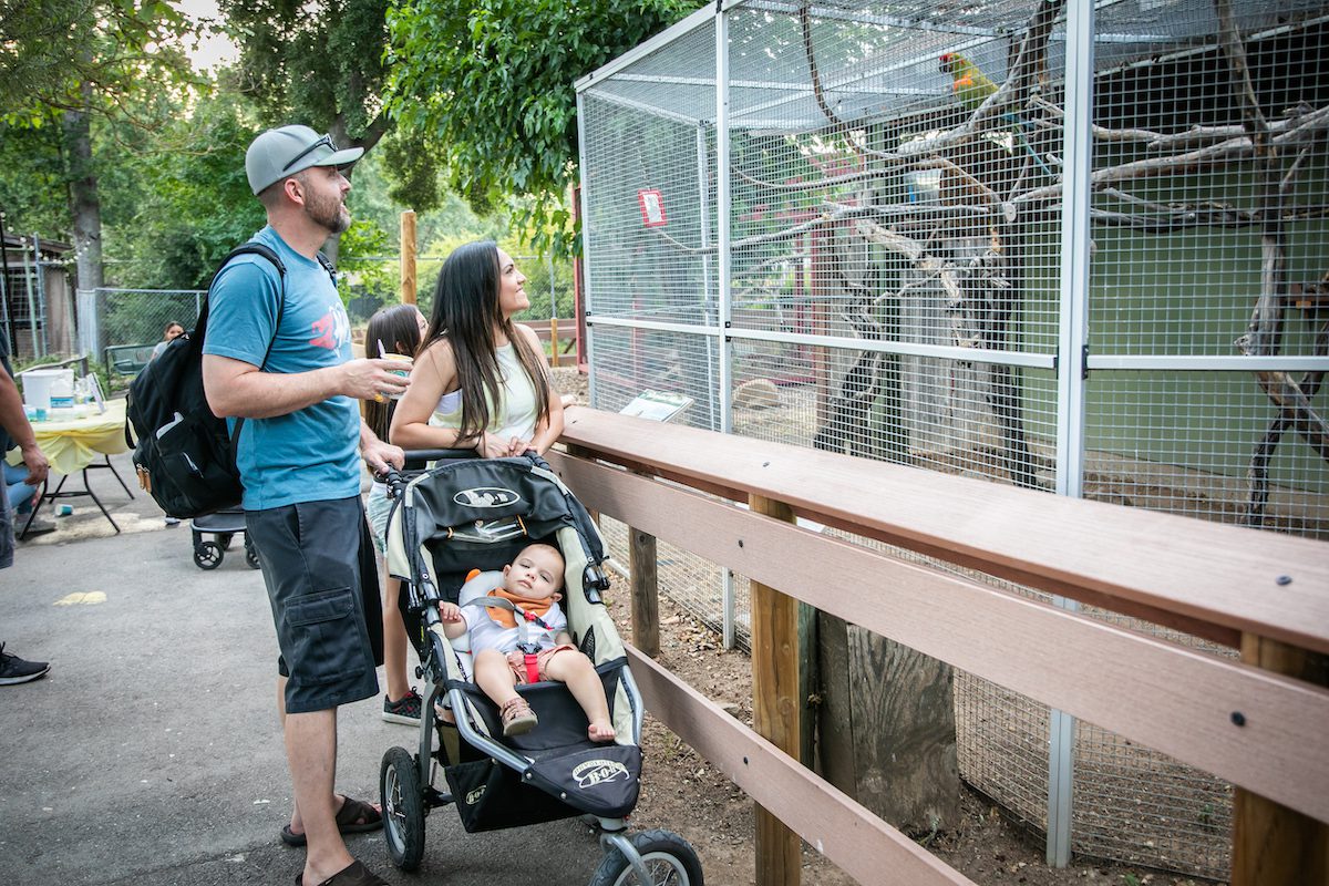 Charles Paddock Zoo's Ice Cream Zoofari back for 20th year